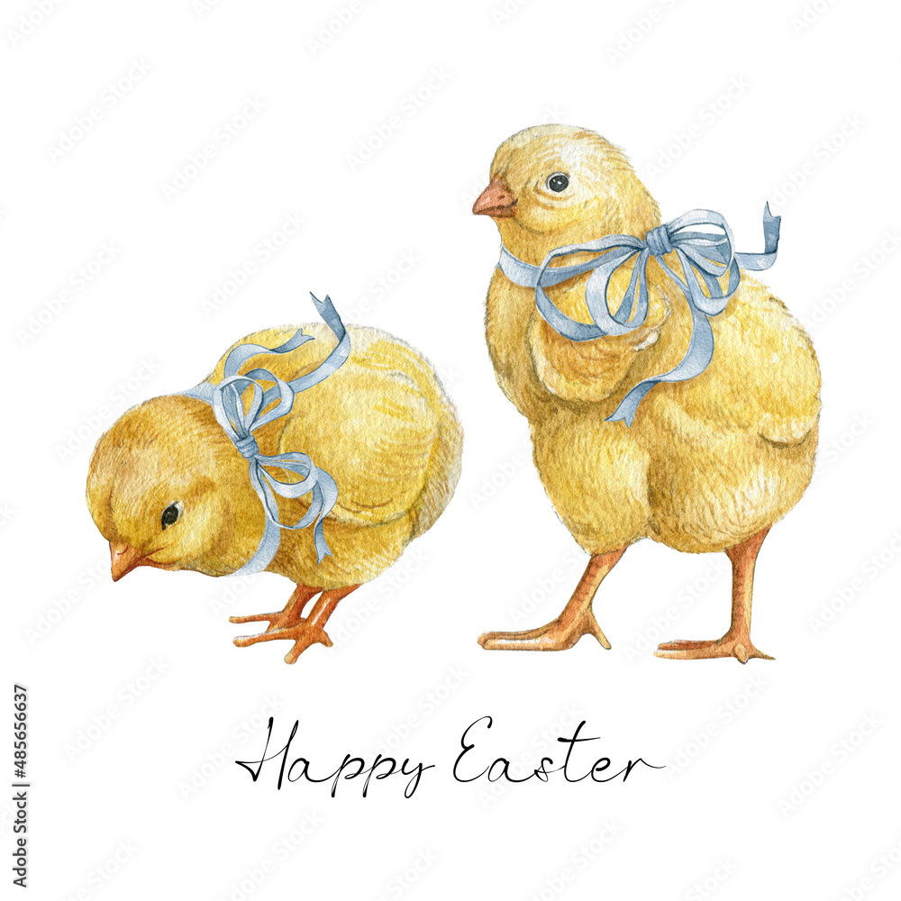 Watercolor baby chicks, Easter baby chicken with blue ribbon, Cute ...