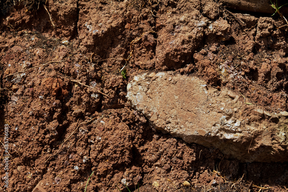 Textura de suelo de tierra natural Stock Photo | Adobe Stock