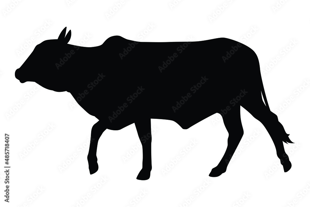 Walking cow silhouette vector on white, Animal in farm. Stock Vector ...
