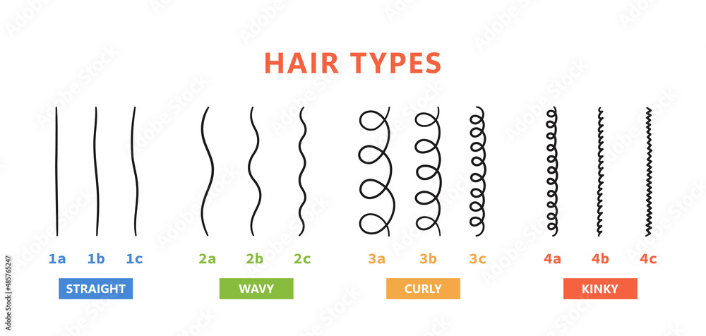 Classification of hair types - straight, wavy, curly, kinky. Scheme of ...