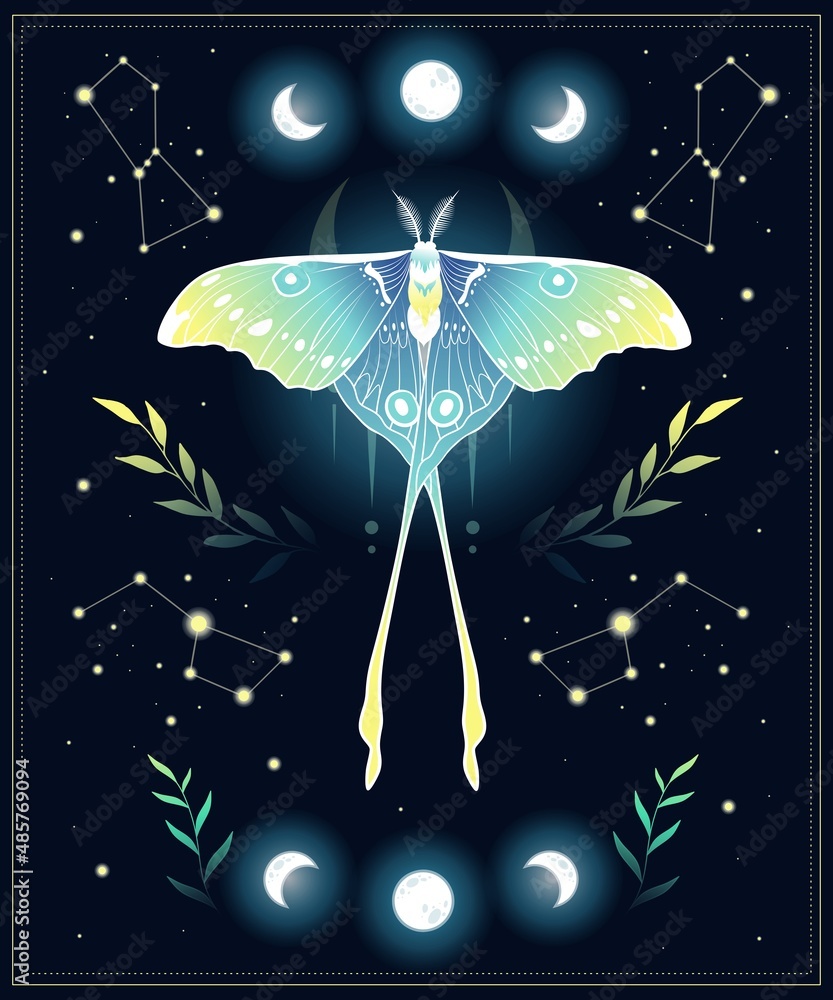 Magic vector illustration of moon moth in green colors. For print for T ...