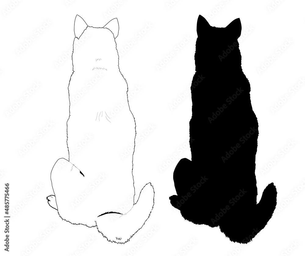 Illustration, outline. Thai bangkaew dog silhouette. sitting position ...