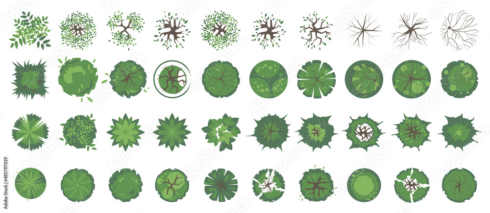 Trees and plants top view. Icon set of colored trees and grass for ...