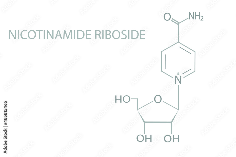 Nicotinamide riboside molecular skeletal chemical formula. Stock Vector | Adobe Stock