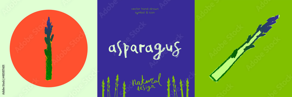 Vector asparagus icon. Pencil textures. Green sparrow grass ...