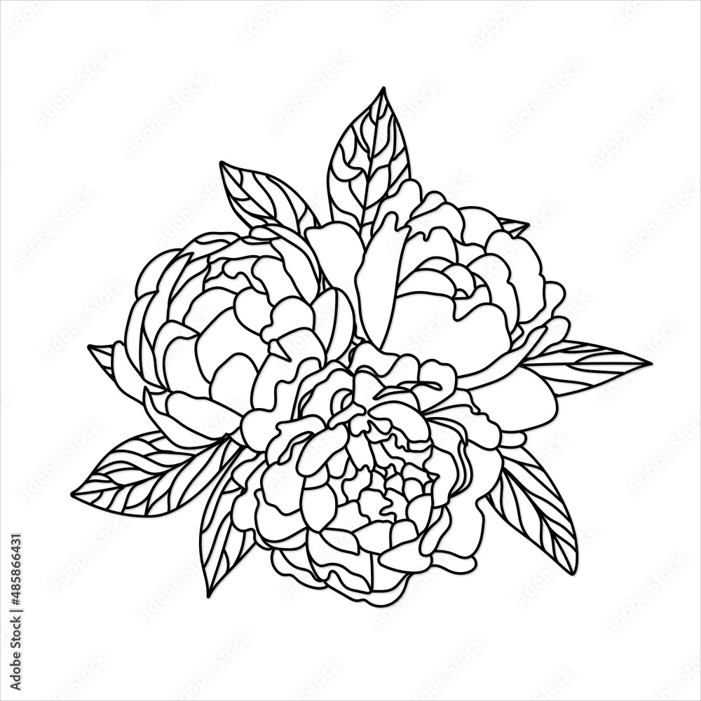 Peony Bouquet Outline Peonies line art Stock Vector | Adobe Stock