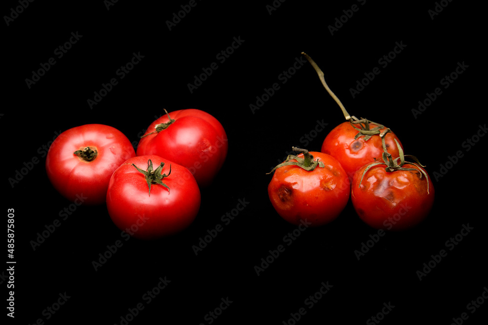 spoiled tomato with rot on a white or black background Stock Photo ...
