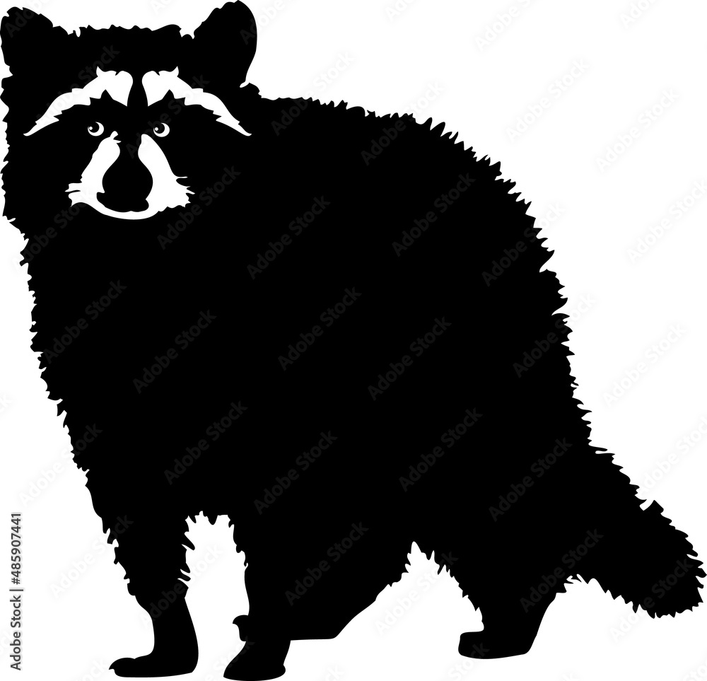 raccoon EPS, raccoon Silhouette, raccoon Vector, raccoon Cut File ...