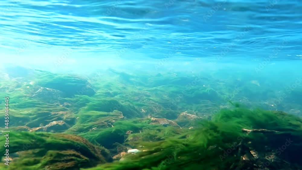 Bottom of shallow fast-flowing river. Light rays shining through water ...