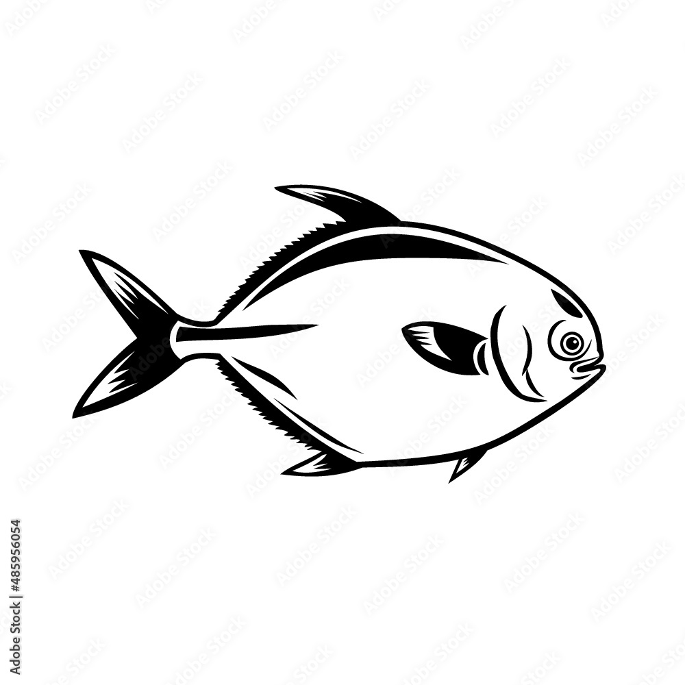 Mascot illustration of a golden pompano fish or Trachinotus in the ...