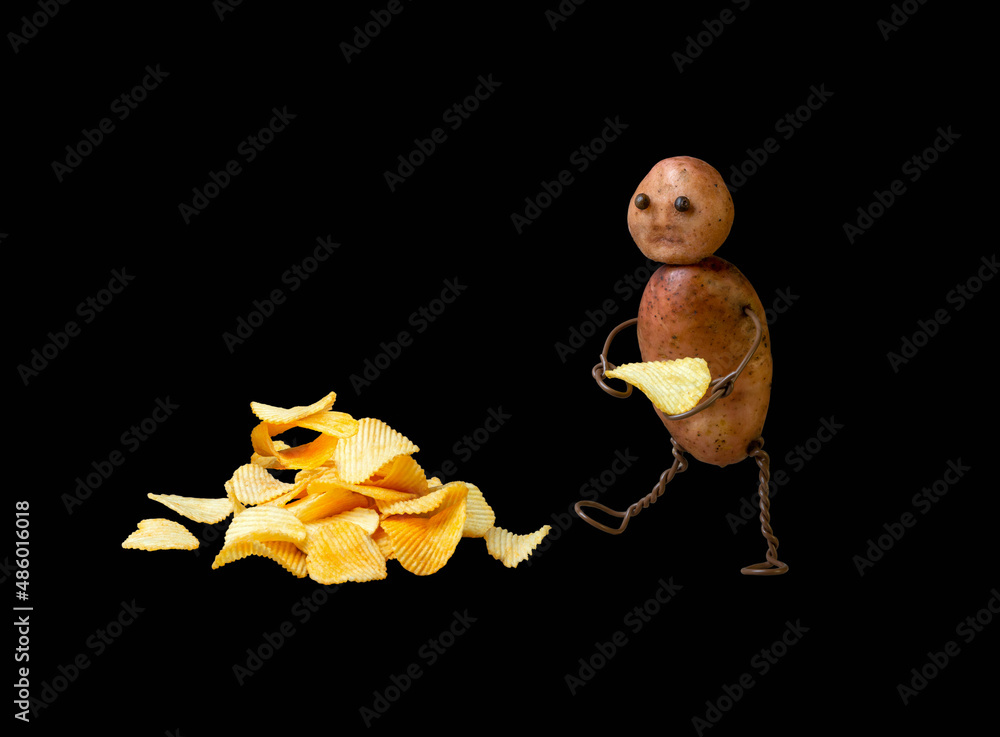 funny potato man with head and torso cooking and carrying potato ...