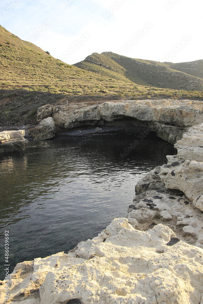 Fossils of tertiary sediments, sandstones, calcarenites and limestones ...