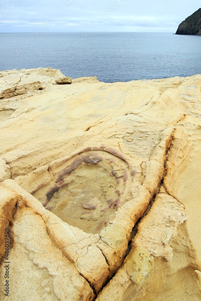Fossils of tertiary sediments, sandstones, calcarenites and limestones ...