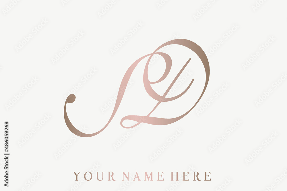 SD monogram logo.Calligraphic signature icon.Letter s and letter d ...