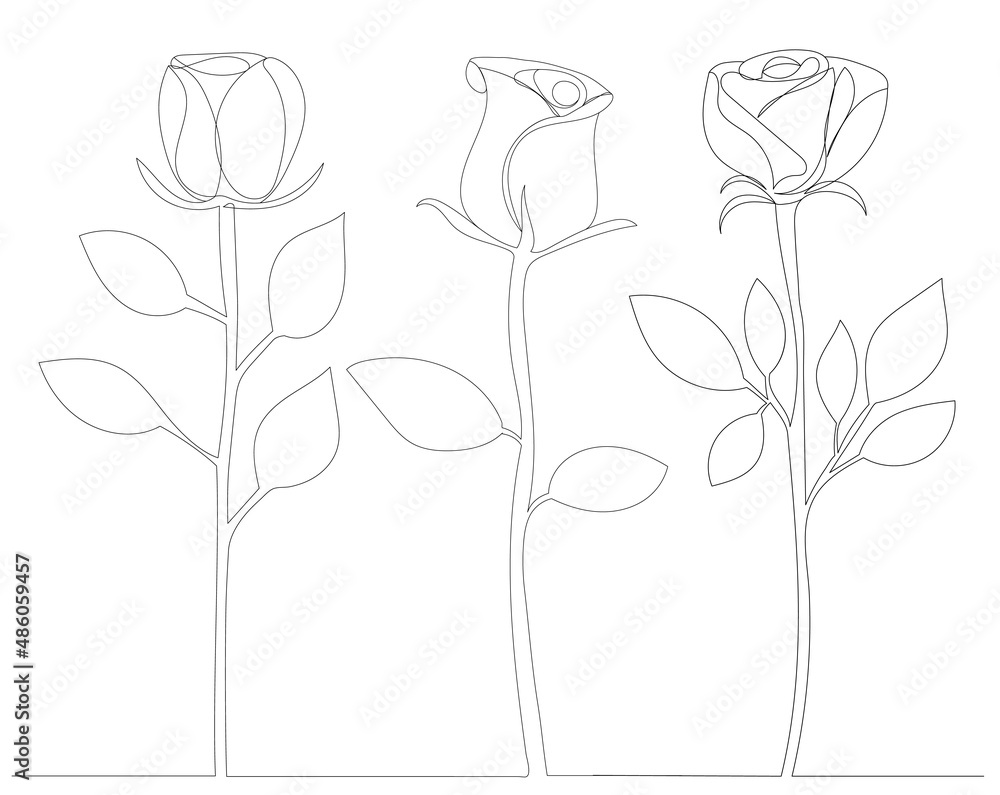 roses contour one line sketch Stock Vector | Adobe Stock