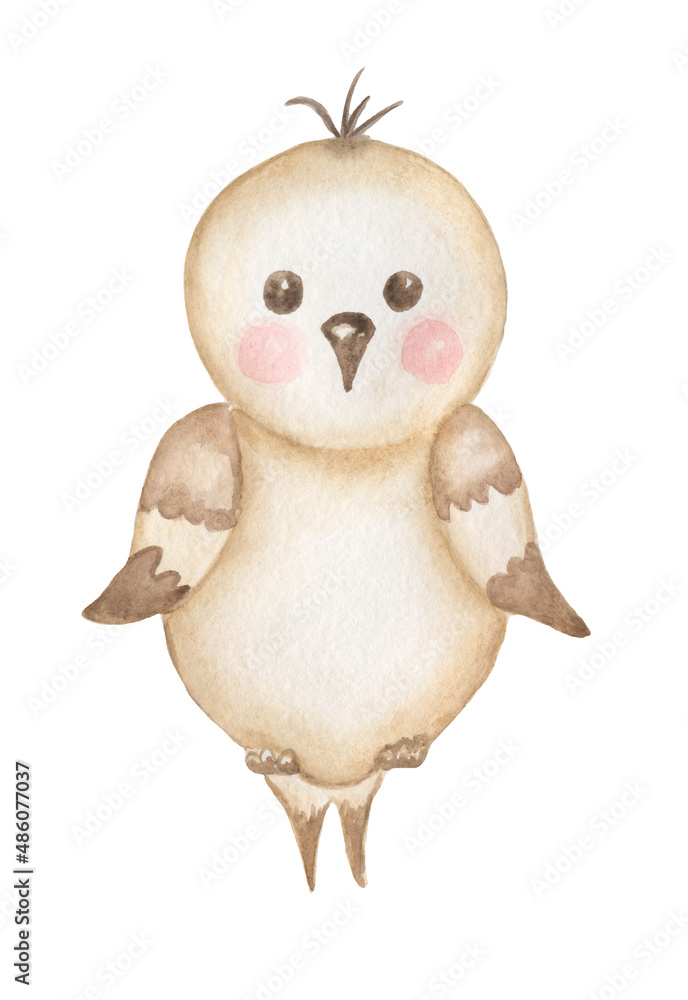 Cute Boho Animal Clipart, Watercolor hand drawn Sparrow bird ...