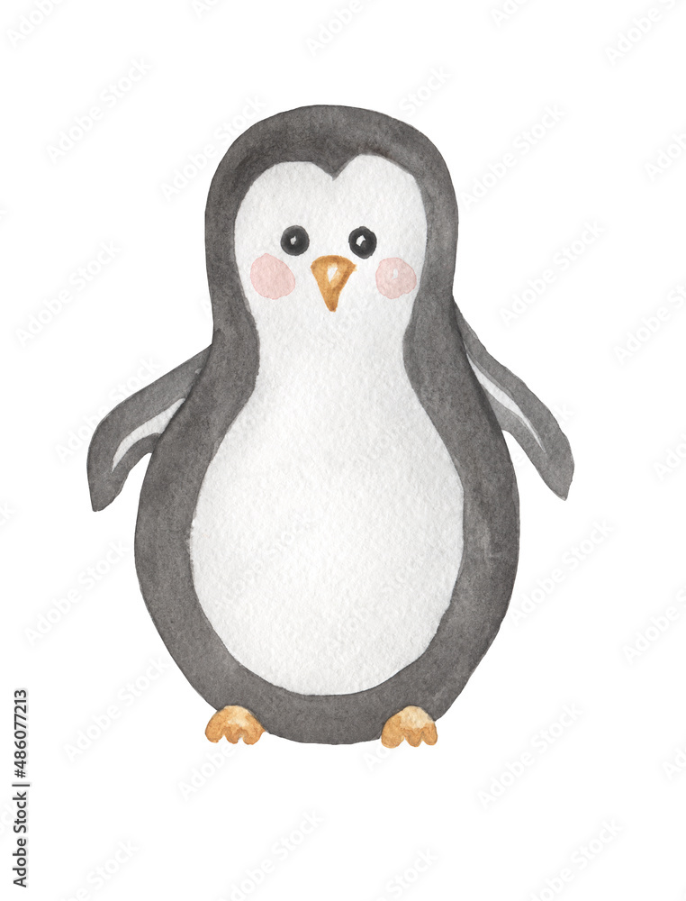 Cute Boho Animal Clipart, Watercolor hand drawn penguin illustration ...