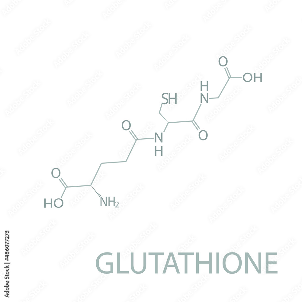 Glutathione molecular skeletal chemical formula. Stock Vector | Adobe Stock