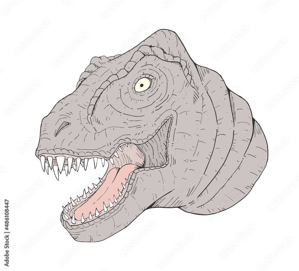 Dinosaur head draw Stock Vector | Adobe Stock