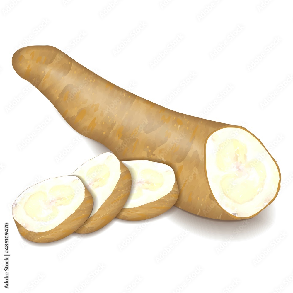 Root arracacha for banners, flyers, posters, social media. Whole and ...