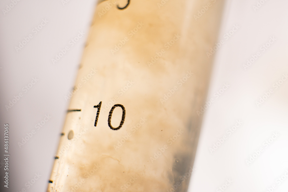 Psilocybe cubensis. Psilocybin mushroom. Liquid culture of mycelium ...