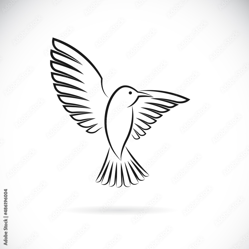 Vector of bird design on white background. Easy editable layered vector ...