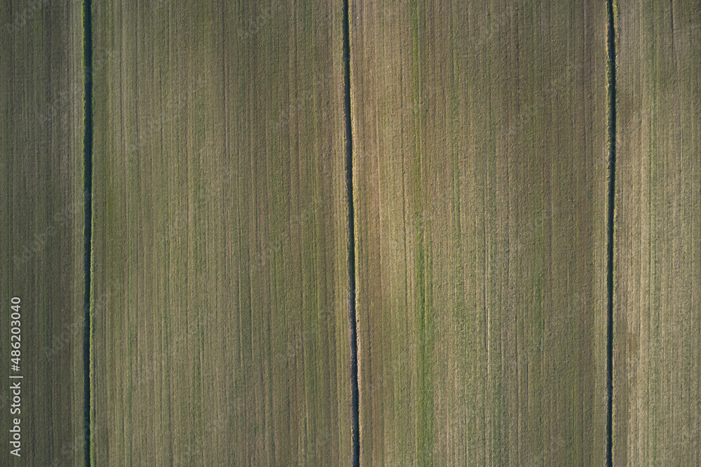 Field texture aerial view. Grass plantation at high altitude. Drone ...