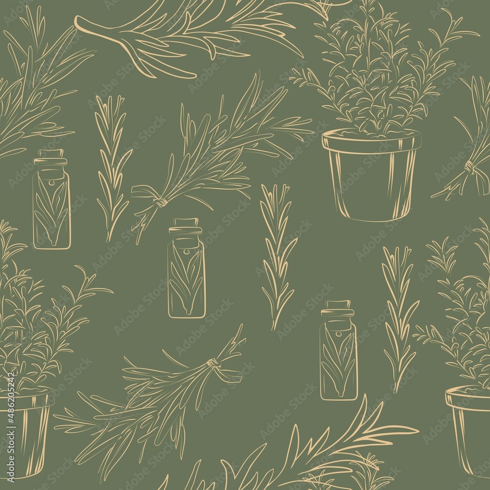 Line drawing of rosemary plant. Vector illustration. Stock Vector ...