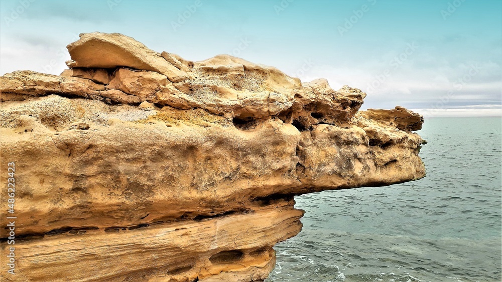 Fossils of tertiary sediments, sandstones, calcarenites and limestones ...
