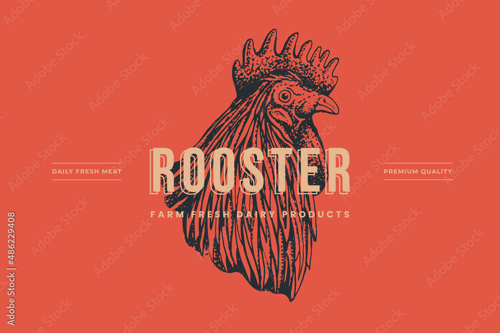 Rooster head. Hand-drawn retro picture with a bird in engraving style ...
