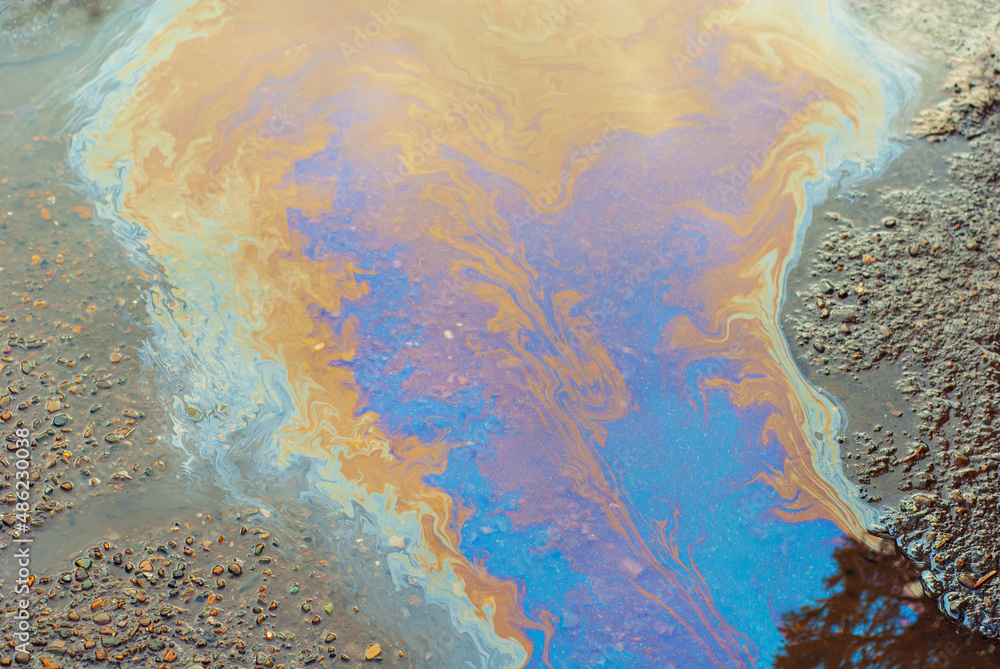 Oil stains on wet asphalt. Puddles are contaminated with multicolored ...