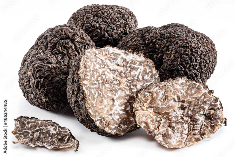 Black edible winter truffle on white background. The most famous of the ...