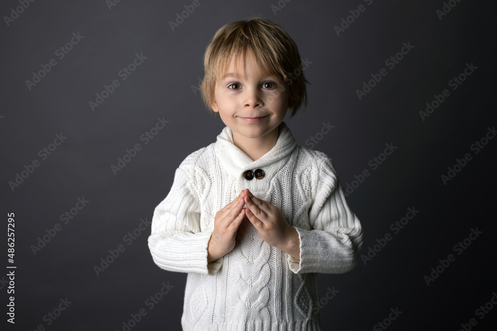 Cute little toddler boy, showing home gesture in sign language on gray ...