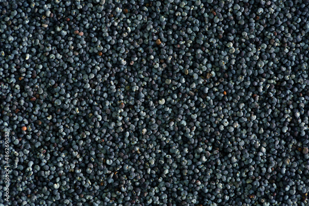 Poppy seeds close-up as a background. Spices. Seasoning for dishes ...