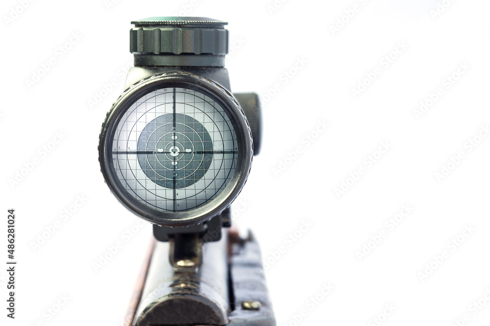 rifle target view isolated on White Background. Stock Photo | Adobe Stock