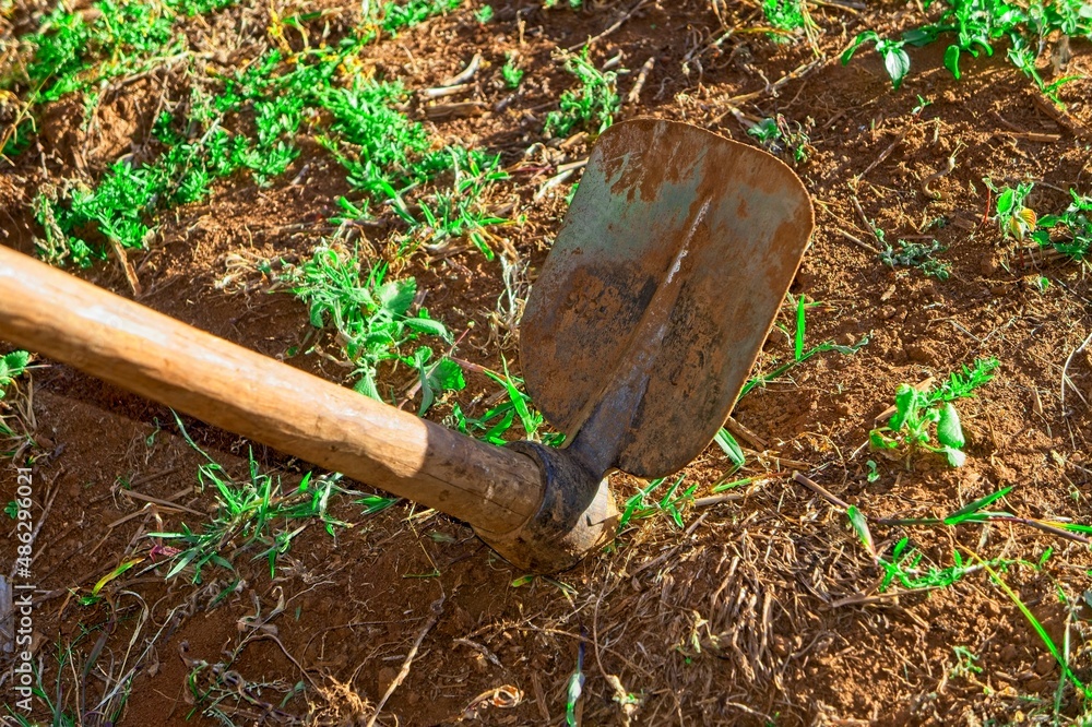 A sharpened hoe or hand plough with soil ready to be used for gardening ...
