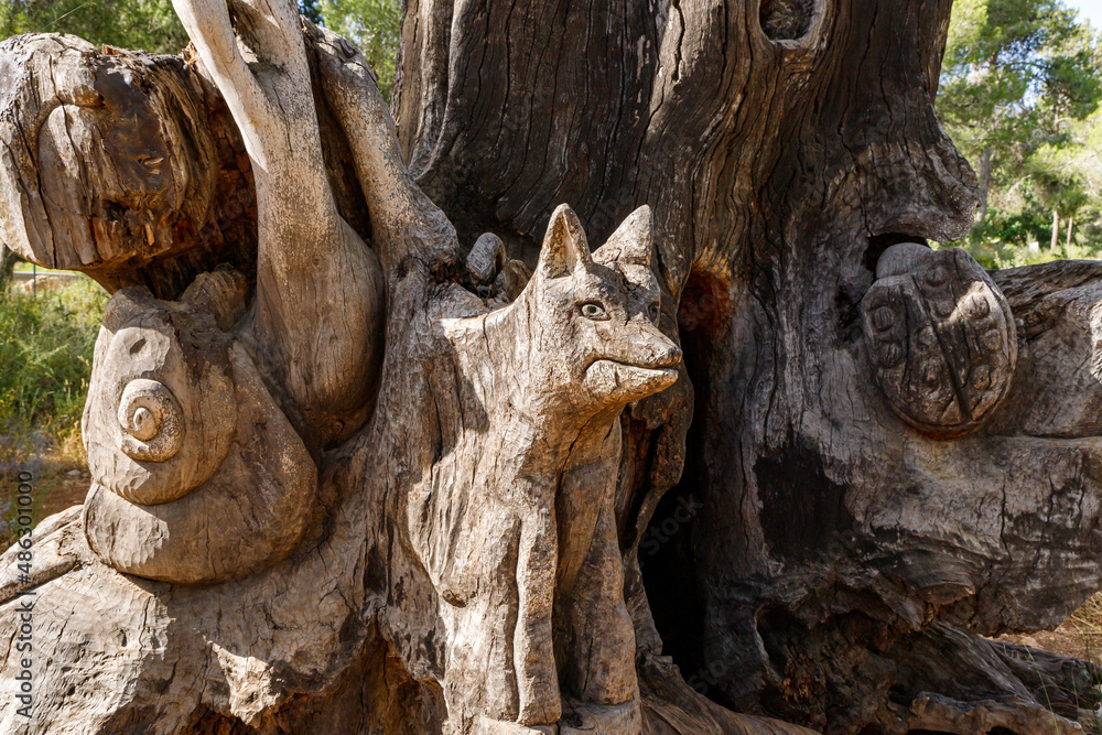 The remains of an old dry tree with a snail, a wolf and a beetle carved ...