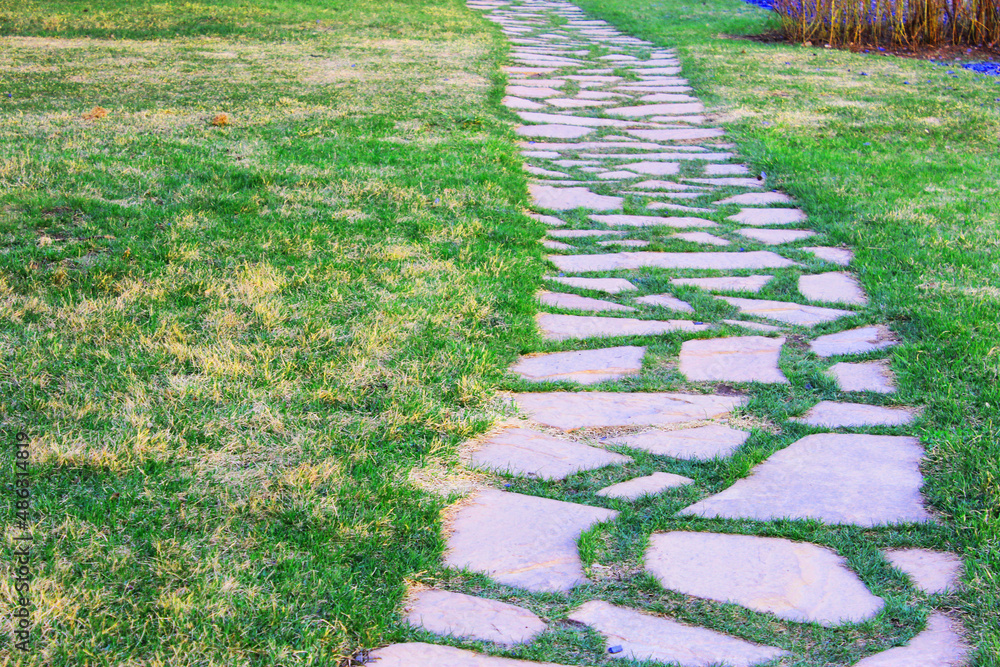 Gray paving slabs, paved path, among greenery in a shady park. Shallow ...