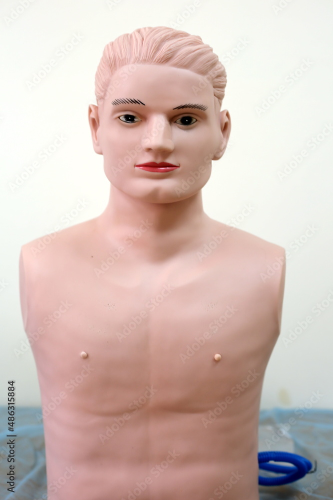 medical mannequin designed for pleural puncture in case of pneumothorax ...