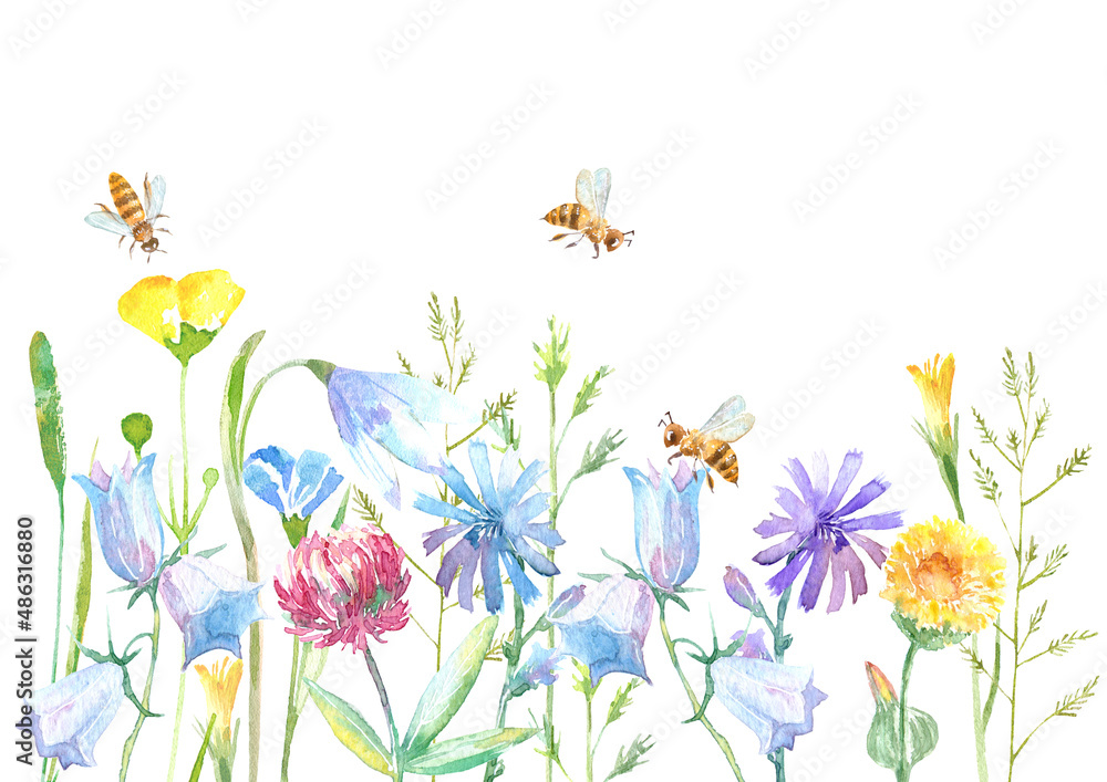 Floral border of a bee, wild flowers and herbs on a white background ...