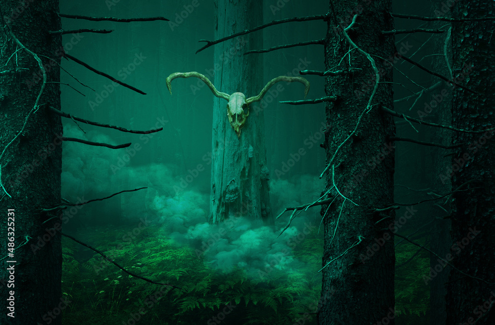 Horned skull on tree in smoke in dark forest. Pagan druid worship ...