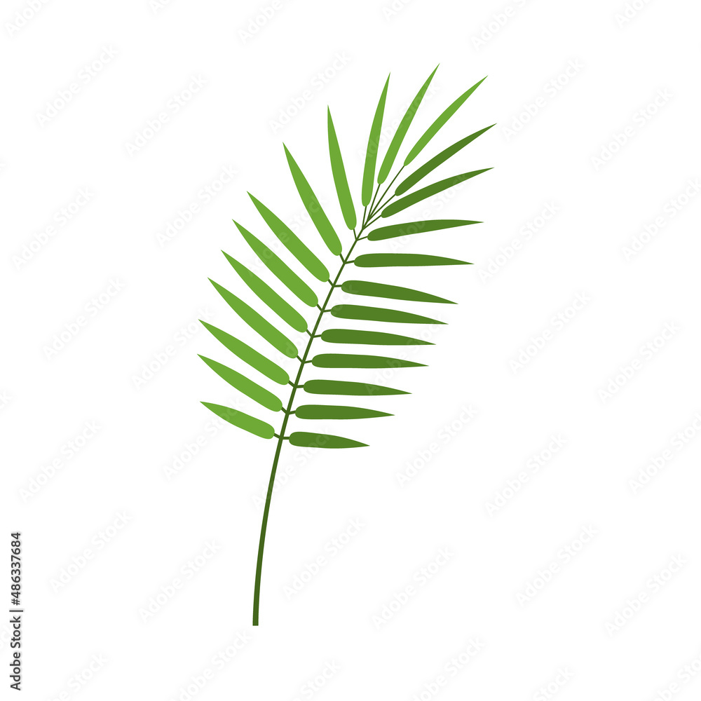 Areca palm leaf in flat style, vector Stock Vector | Adobe Stock