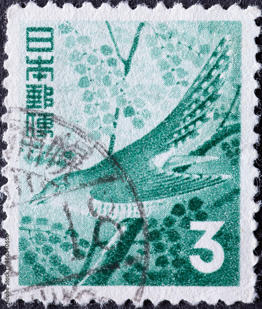 Japan - circa 1954: a postage stamp from Japan, showing a Lesser Cuckoo ...