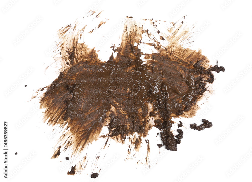 Wet mud, stains texture isolated on white background, top view and ...