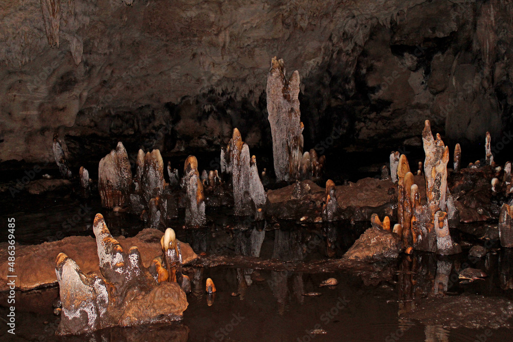 Unique stalagmites of Tabon Caves in Palawan, Philippines Stock Photo ...