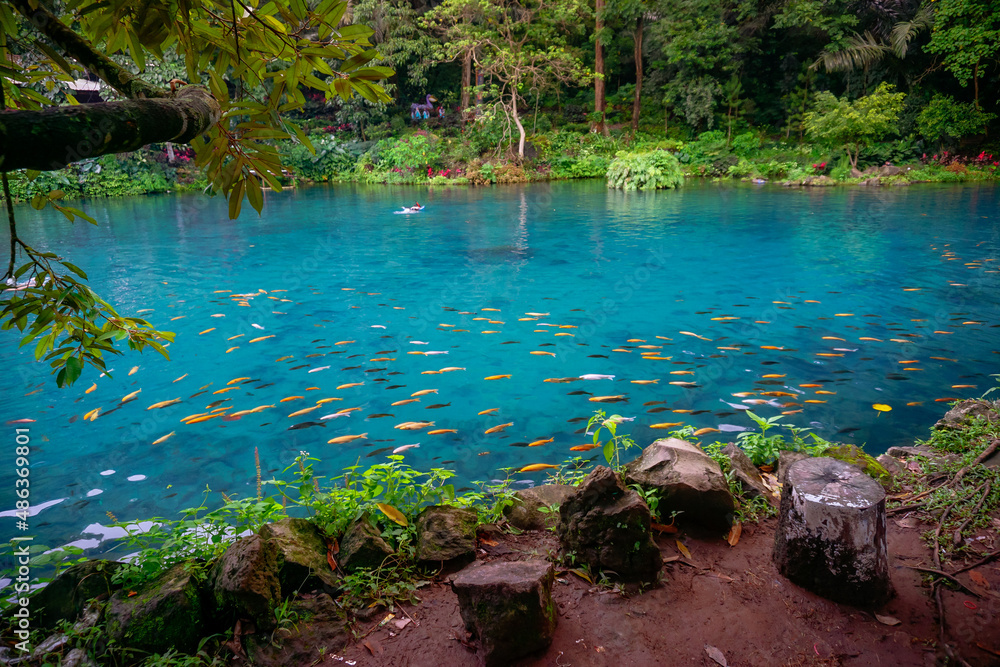 Situ Cipanten of Majalengka. Beautiful lakes in the forest with green ...