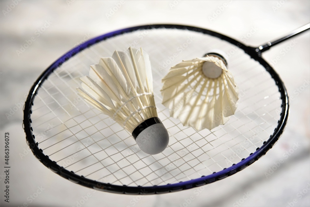 badminton racket and shuttlecock Stock Photo | Adobe Stock