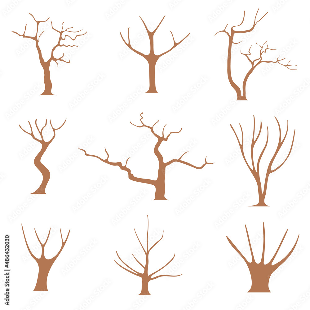 Tree trunks without foliage, curved branches in brown color, flat ...