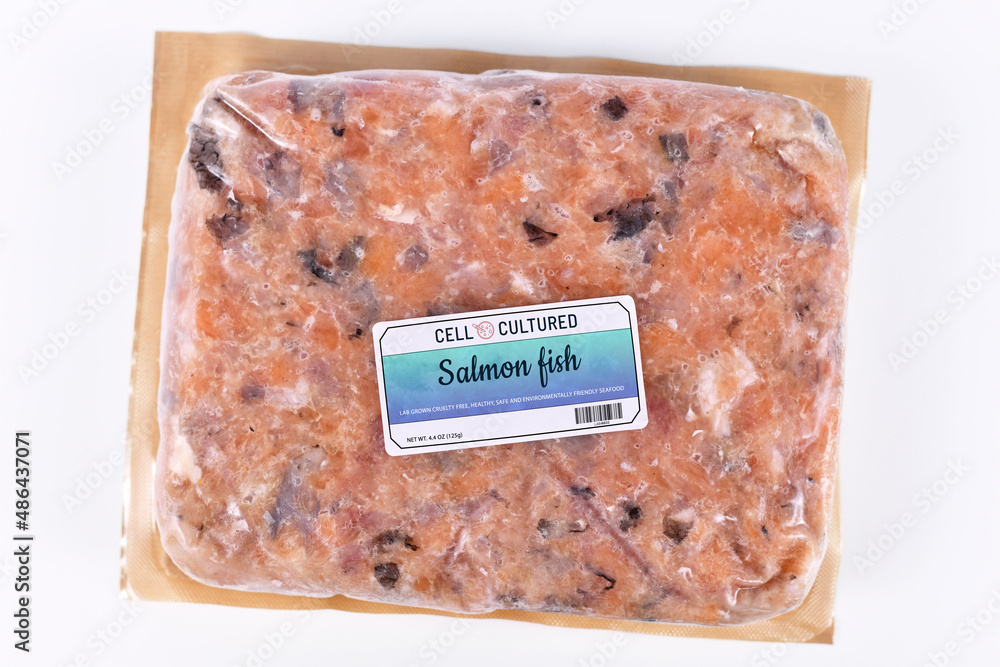 Lab grown cell cultured salmon fish concept for artificial in vitro ...
