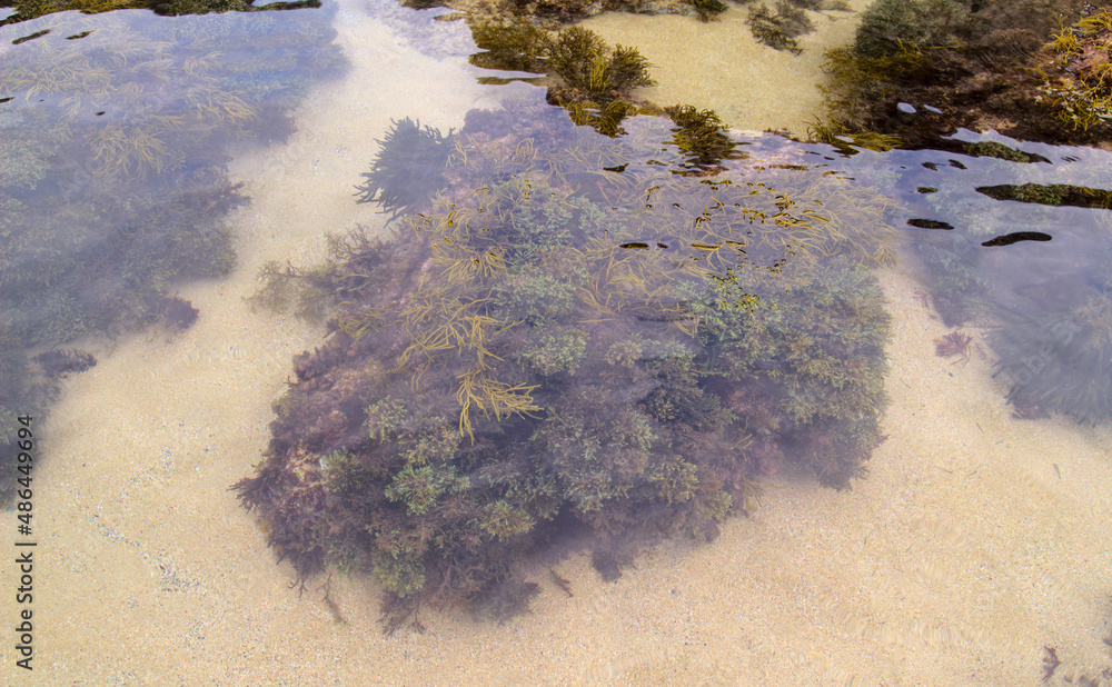 Coastal part of Cantabria in the north of Spain, Costa Quebrada, ie the ...
